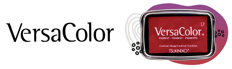 VersaColor Pigment Ink | Imagine